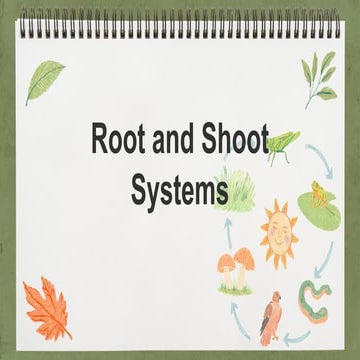 Plants Root and Shoot Systems-GRADE 4.pptx