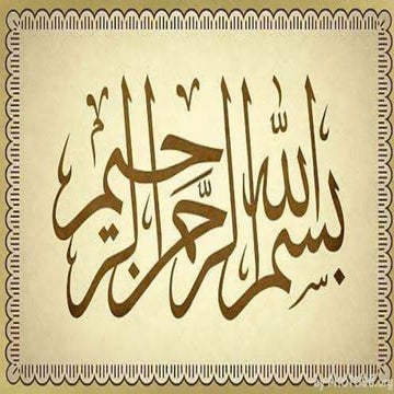 3. Root Apical Meristem and theories of root apical meristem | PPTX