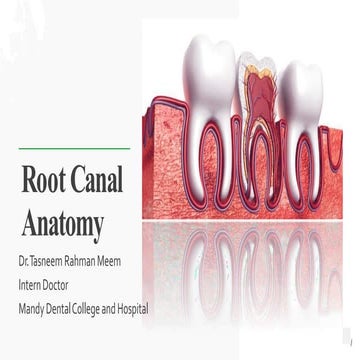 rootcanalanatomy-190808050207.pptx
