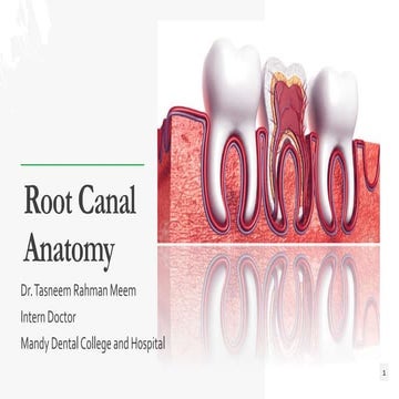Morphology and internal anatomy of root canal system | PPTX