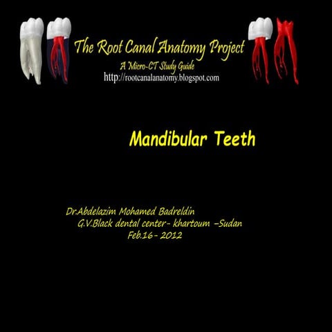 Root canal anatomy and configuration project mandibular teeth ...