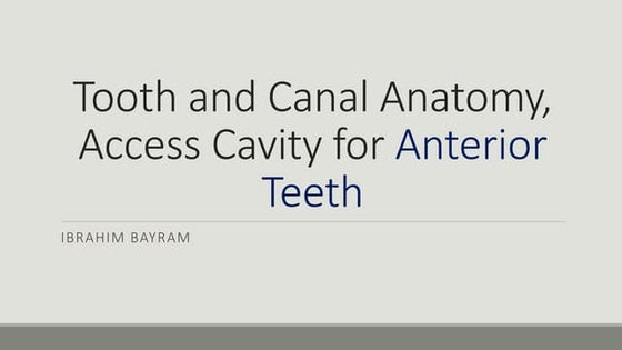 Anatomy of pulp chamber | PPTX | Dental Health | Diseases and Conditions