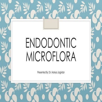 ROOT CANAL FLORA Post Graduate level.ppt