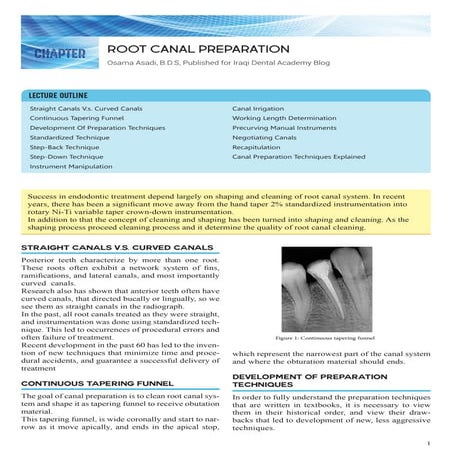 Root Canal Preparation Basics | PDF