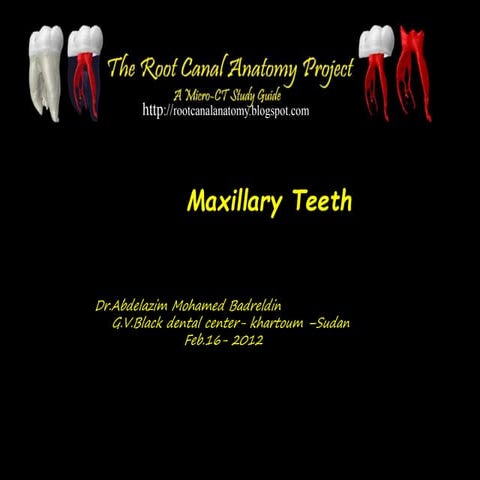 Root Canal Morphology | PDF