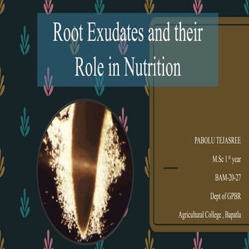 Root excudates and their role in nutrition | PPTX