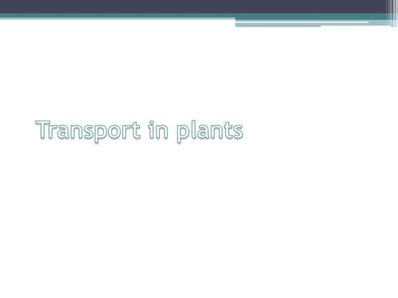 Plant tissues, 9 cbse | PPTX