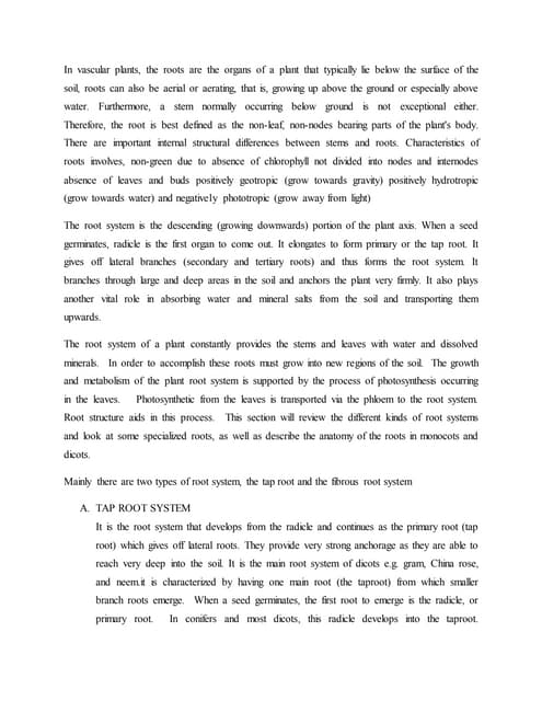 Plants 3rd grade | PPT