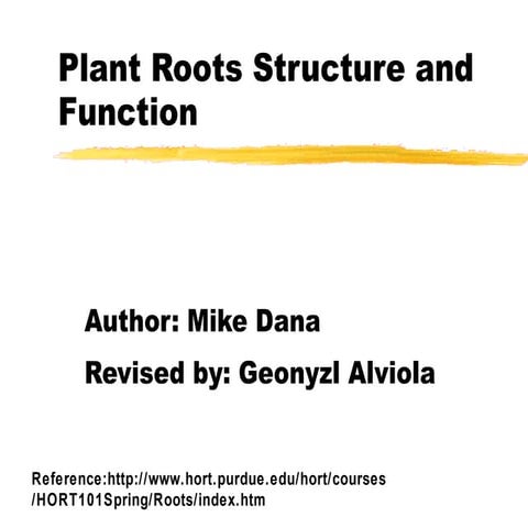 Roots | PPT