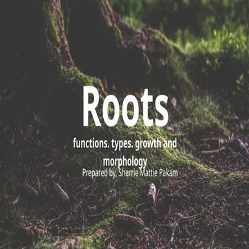 Roots and it's types: taproot, fibrous, and adventitious roots | PPTX