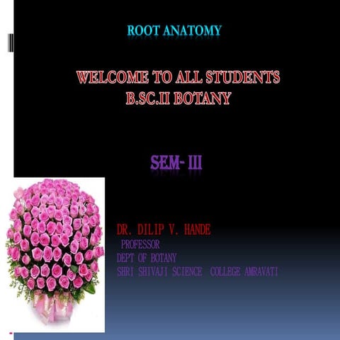 Root anatomy | PDF
