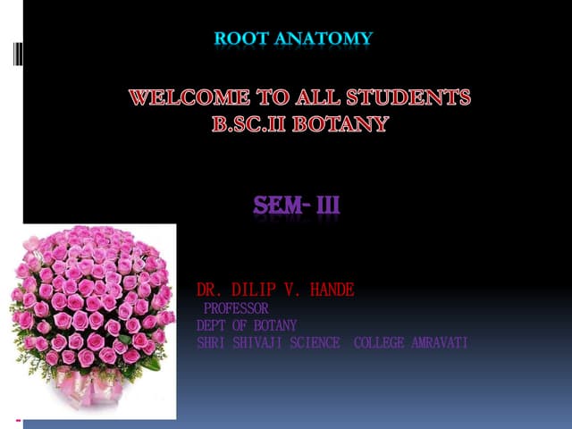 3. Root Apical Meristem and theories of root apical meristem | PPTX ...