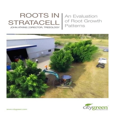 Stratavault™ - Leading the Way in Advanced Structural Soil Cells | PDF