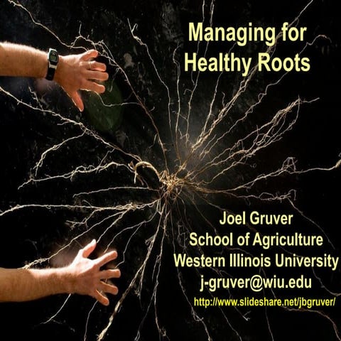Updated Roots presentation | PPT | Free Download