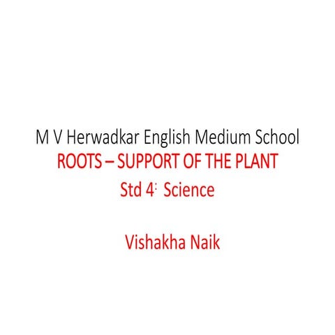 Root support the plants.pptx