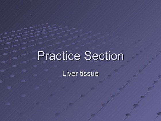 Liver anatomy and histology | PPT