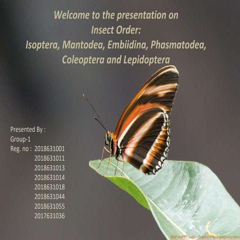 Entomology_Presentation.pptx | Beekeeping | Hobbies & Interests
