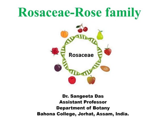 Family Rosaceae | PPT