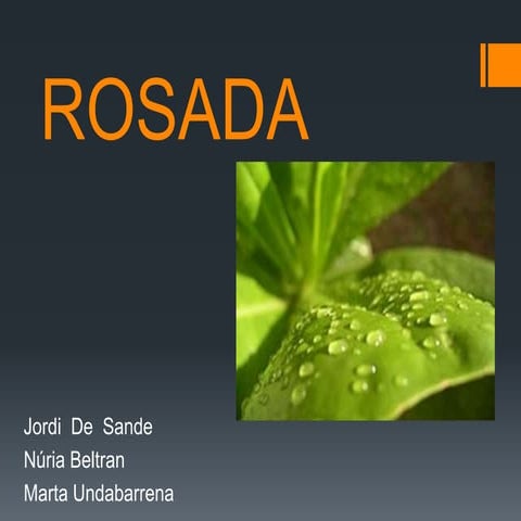 Rosada | PPT