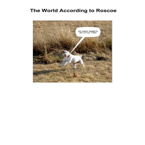 Roscoe's World | DOC
