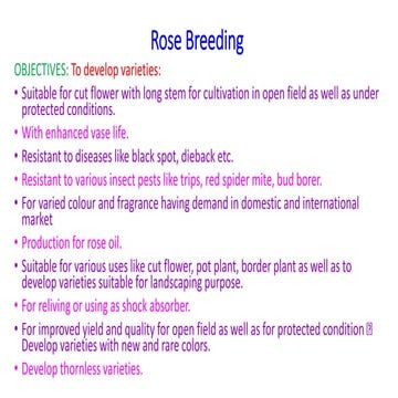 Rose Breeding.pptx