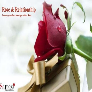 Rose & Relationship | PPT