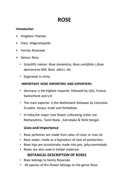 Rose Information in English-Rose Information for Project-Rose ...