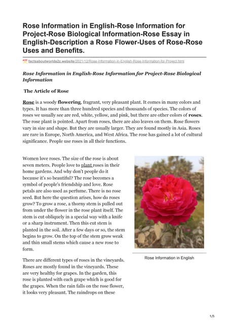 red roses flower.pdf red roses flower red roses flower | PDF