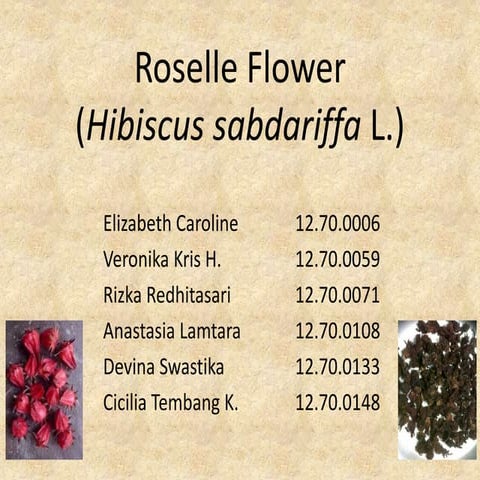 Roselle flower | PPTX