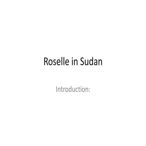 Roselle in sudan | PPT
