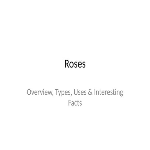 Rose Information in English-Rose Information for Project-Rose ...