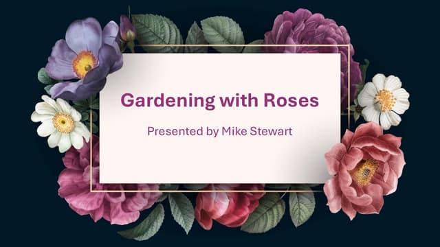 Rose Information in English-Rose Information for Project-Rose ...