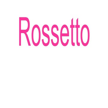 Rossetto - A Lipstick Brand Market Plan | PPTX