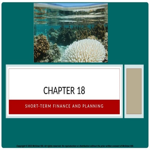 Ross_Fundamentals_of_Corporate_Finance_13e_CH18_PPT.pptx