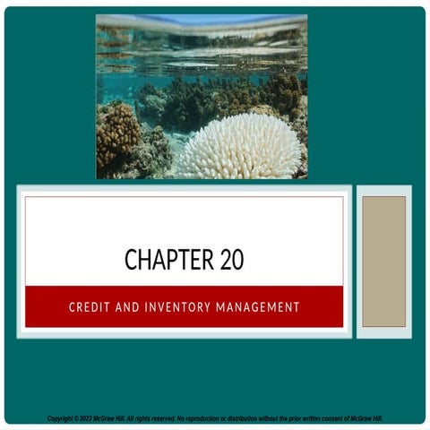 Ross_Fundamentals_of_Corporate_Finance_13e_CH20_PPT.pptx