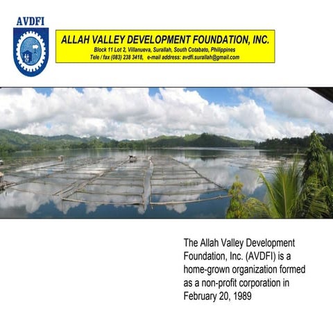 The Allah Valley Development Foundation,Inc. (AVDFI)'s presentation | PPT