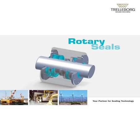 Rotary and Shaft Seals | PDF