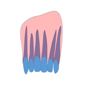 Alignment and rectangular loop | PPTX