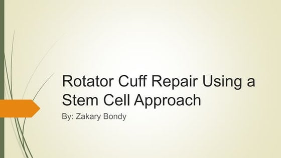 Rotator Cuff Augment 2018.pdf