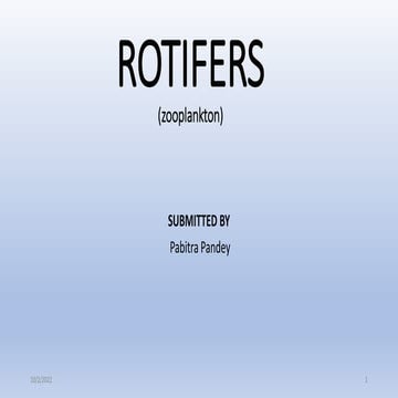 Rotifers | PPT