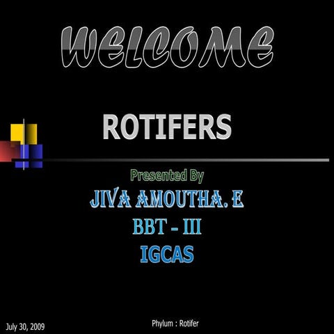 Rotifers | PPT
