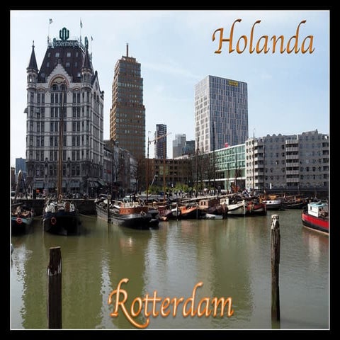 Rotterdam | PPT