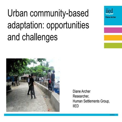 Urban community-based adaptation: opportunities and challenges | PDF ...