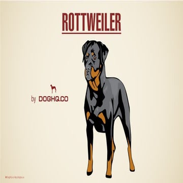 Rottweiler | PDF