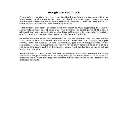 Rough Cut Feedback | PDF