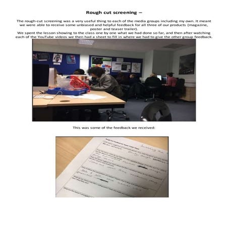 Rough cut screening feedback | PDF