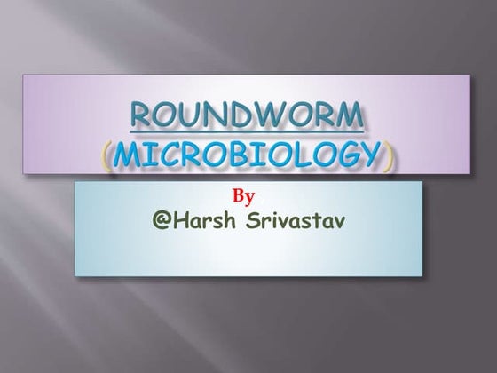 Ascariasis- Roundworm Infection | PPT