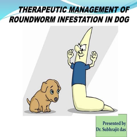 Round Worm infestation of Dog | PDF