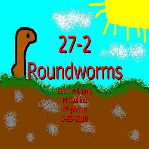 Roundworms | PPT