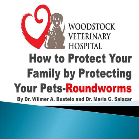 Woodstock Vet Clinic-Roundworms | PPTX | Digestive Disorders | Diseases ...